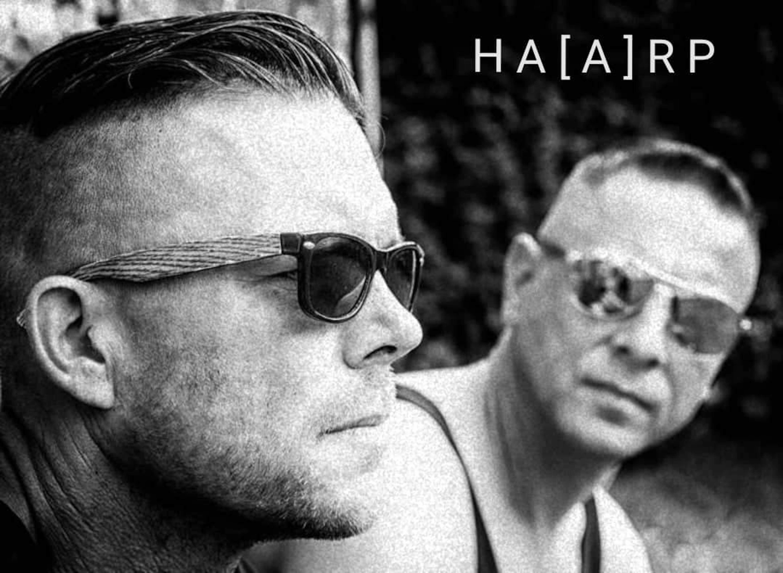 HA[A]RP – haarp-music.com